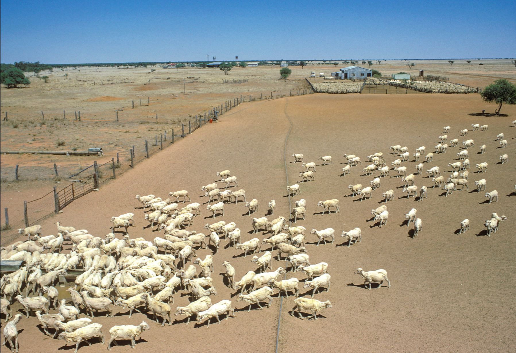 Mannkal Matters: February Edition 2025